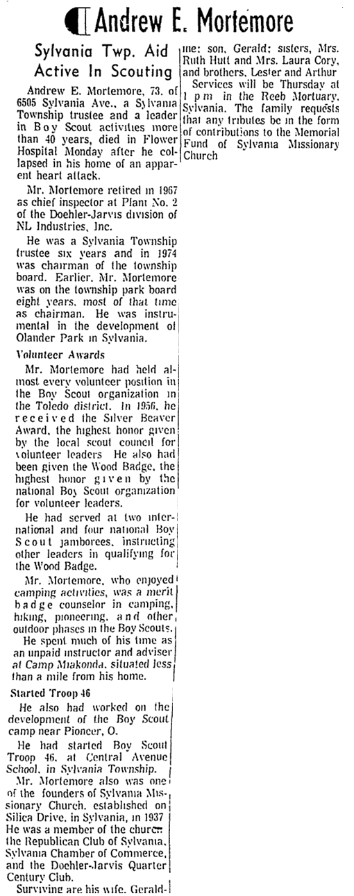 Mortemore Drive - Retro Toledo Metro